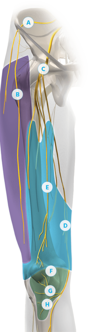 Reimbursement | Iovera